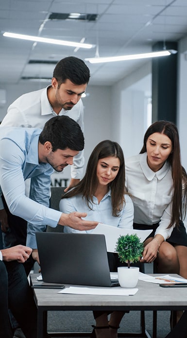 About Us – CS Alterna Ltd